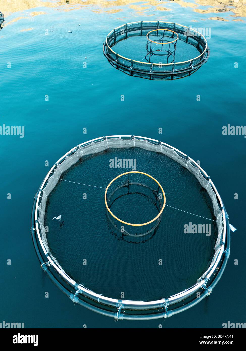 Aerial view of a fish farm with floating cages arranged on the water ...
