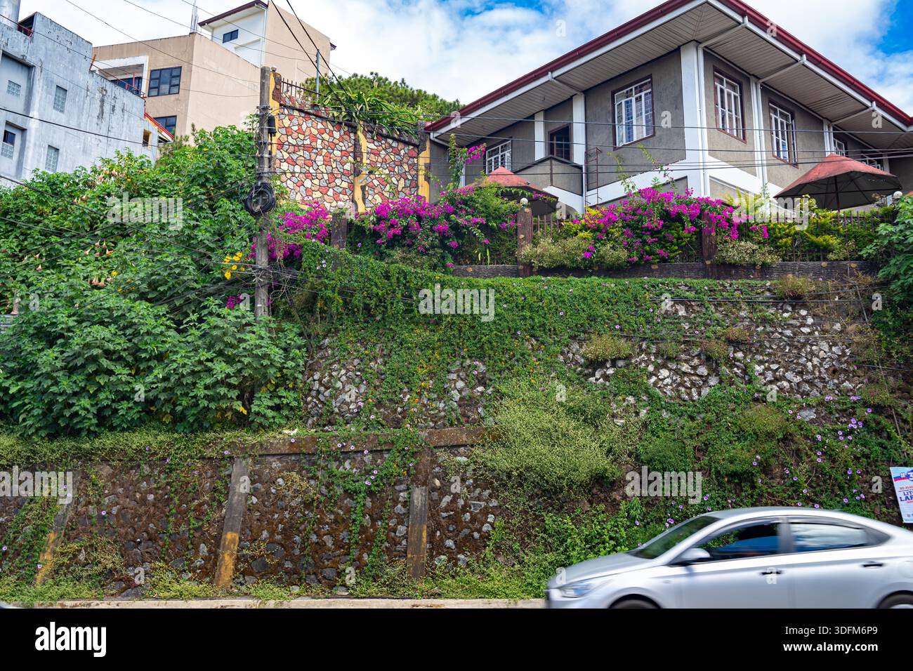 residential area with a terraced wall and houses on a hill, plants ...