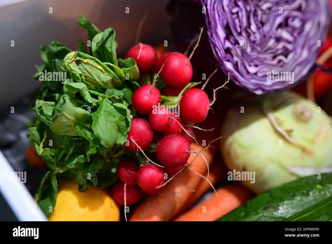 Frisches Gemüse als Symbol für gesunde Ernährung, Frische und ...