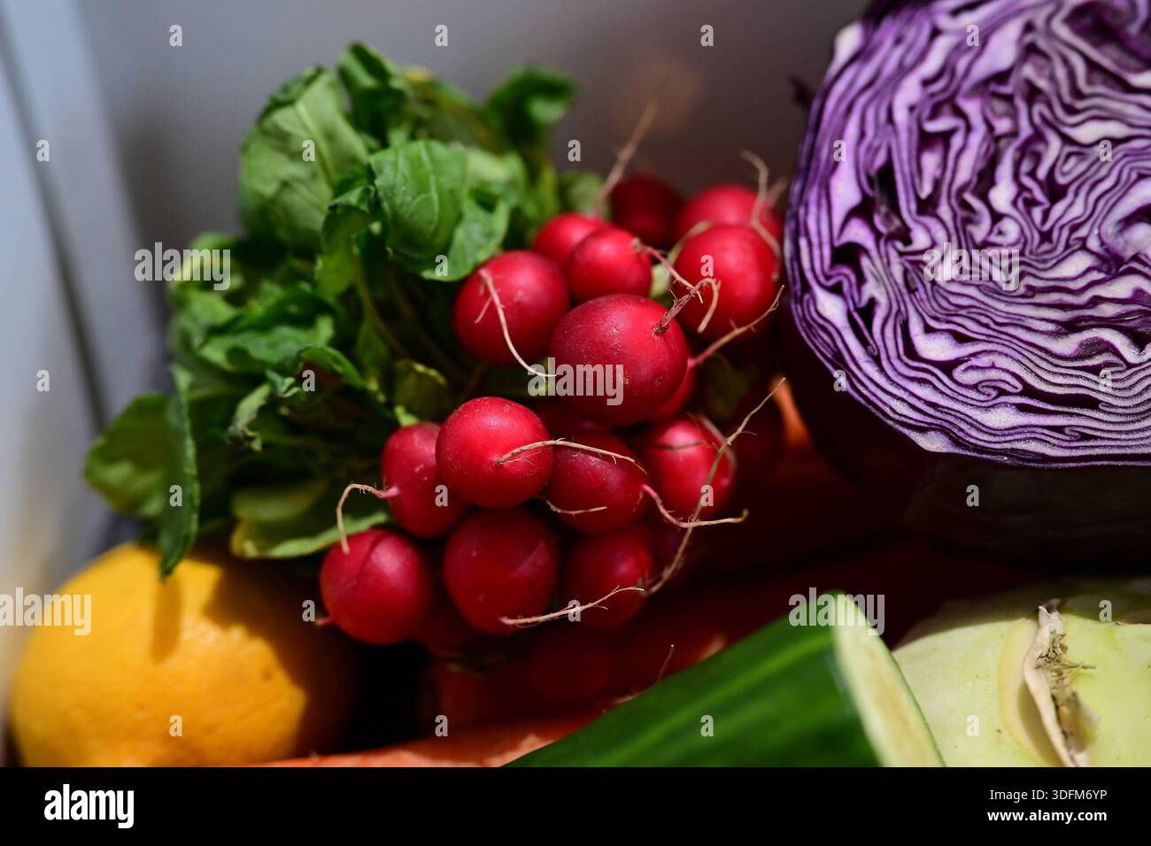 Frisches Gemüse als Symbol für gesunde Ernährung, Frische und ...