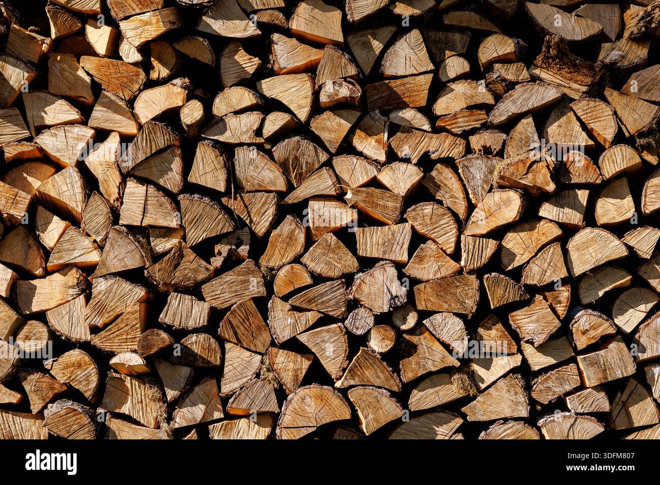 Cut logs tightly stacked hi-res stock photography and images - Alamy