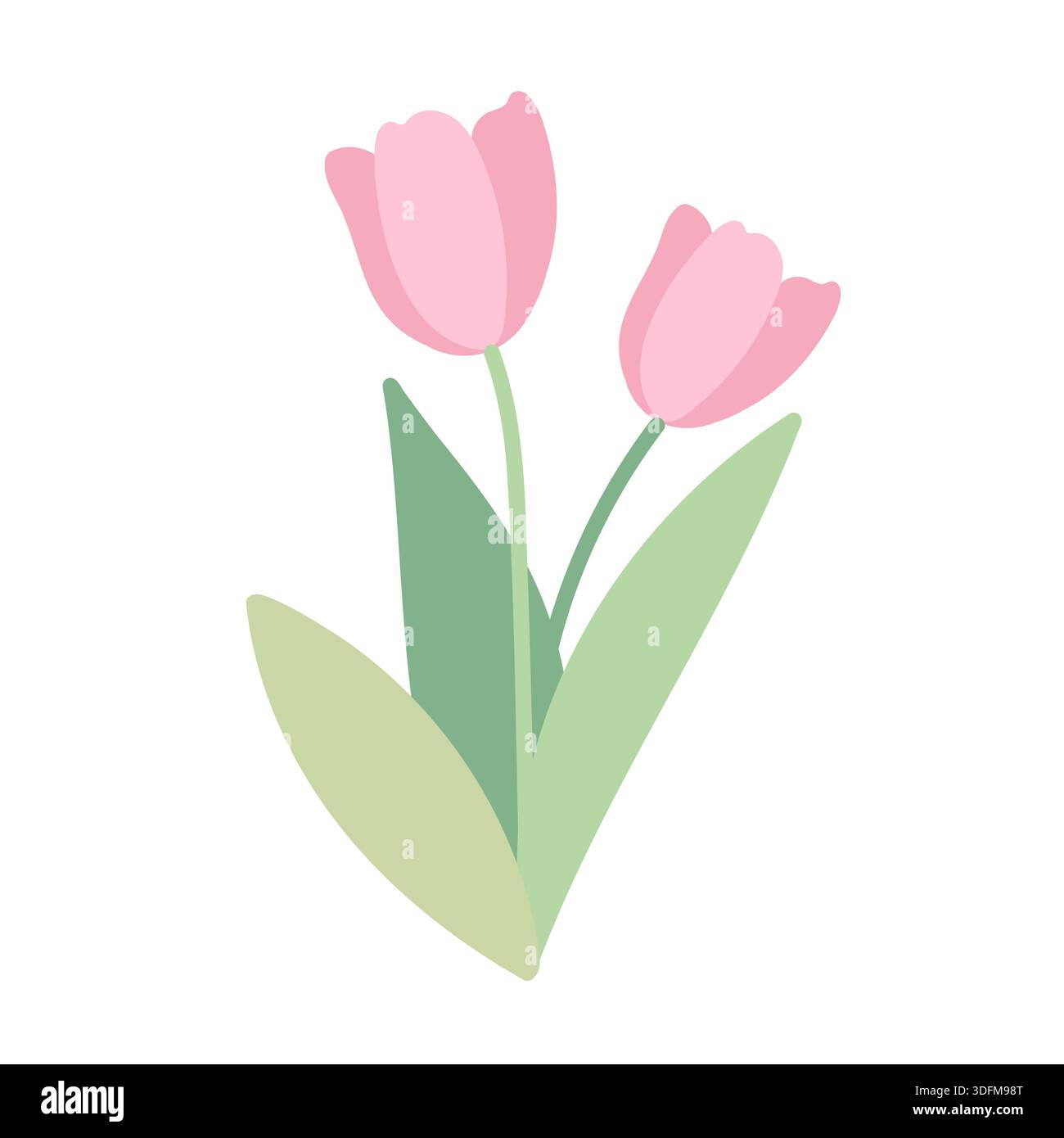 Delicate spring flowers in bloom Stock Vector Images - Alamy