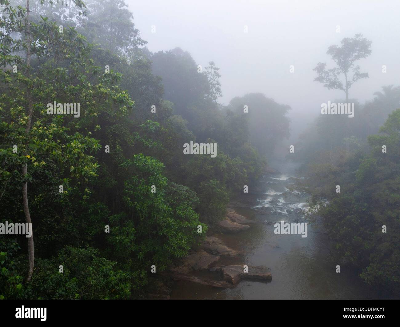Aerial View of a Wild River Flowing Through Lush Tropical Rainforest in ...