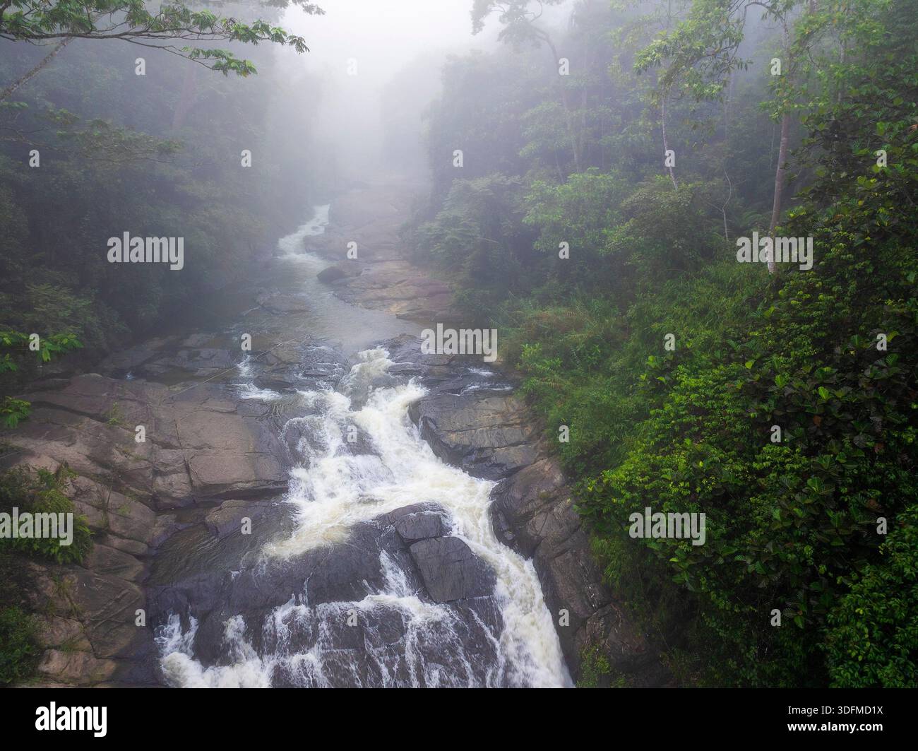 Aerial View of a Wild River Flowing Through Lush Tropical Rainforest in ...