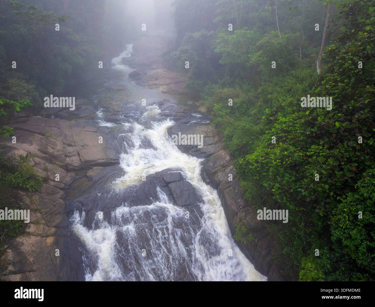 Aerial View of a Wild River Flowing Through Lush Tropical Rainforest in ...