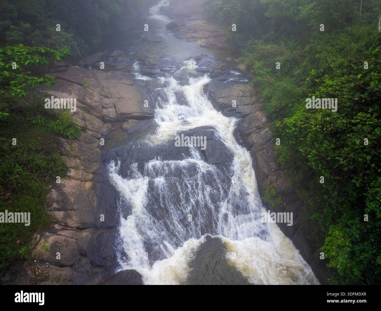 Aerial View of a Wild River Flowing Through Lush Tropical Rainforest in ...