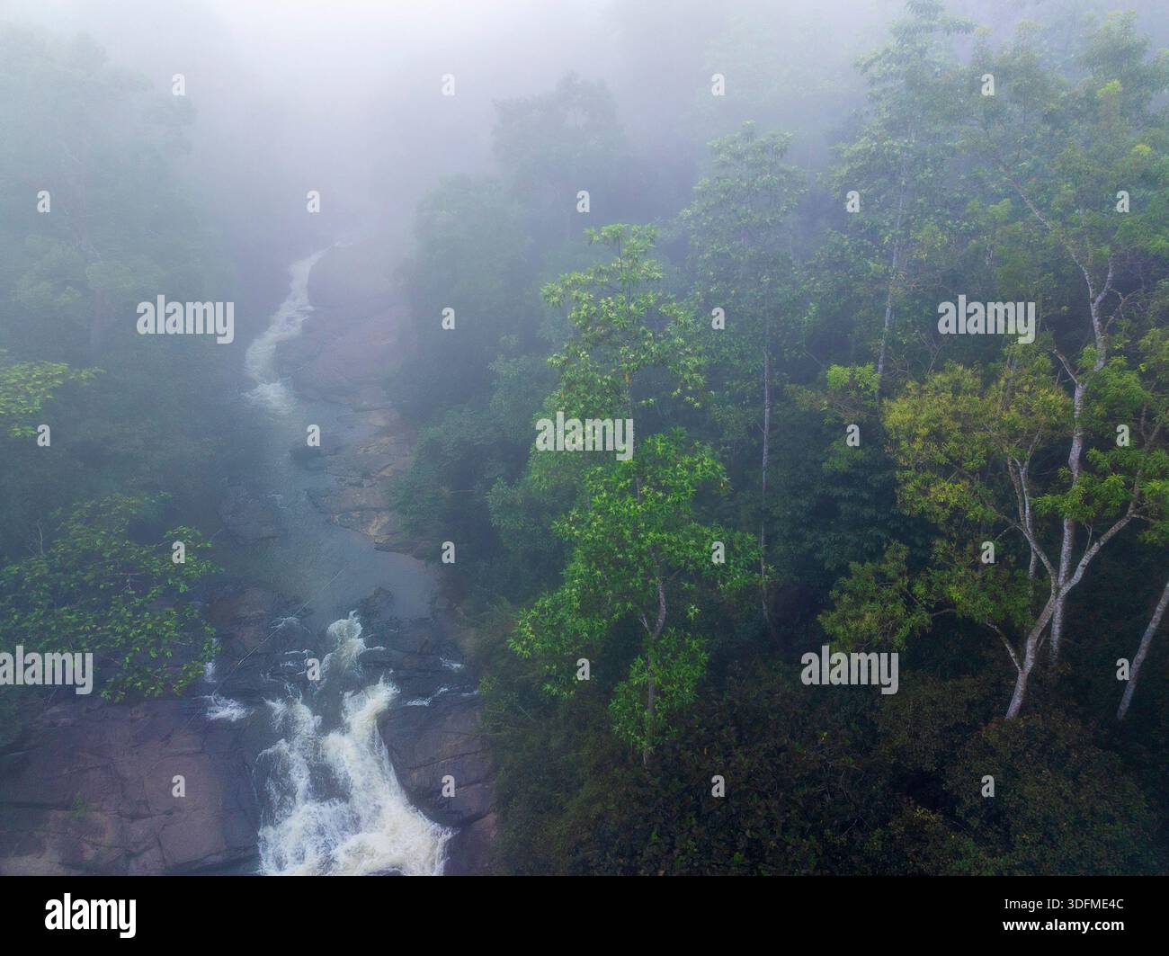Aerial View of a Wild River Flowing Through Lush Tropical Rainforest in ...