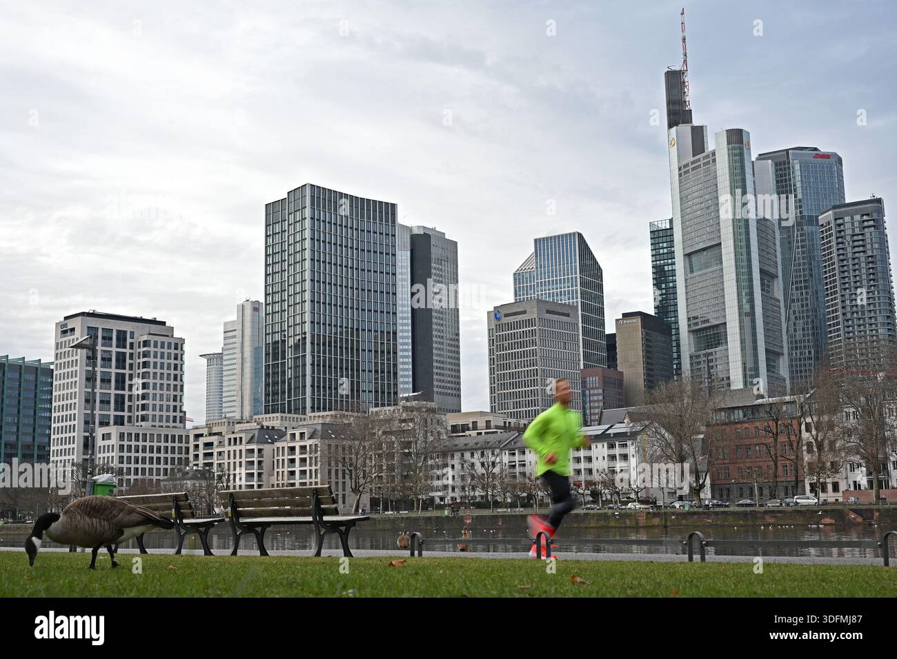 13 January 2026, Hesse, Frankfurt/Main: A man jogs along the banks of ...