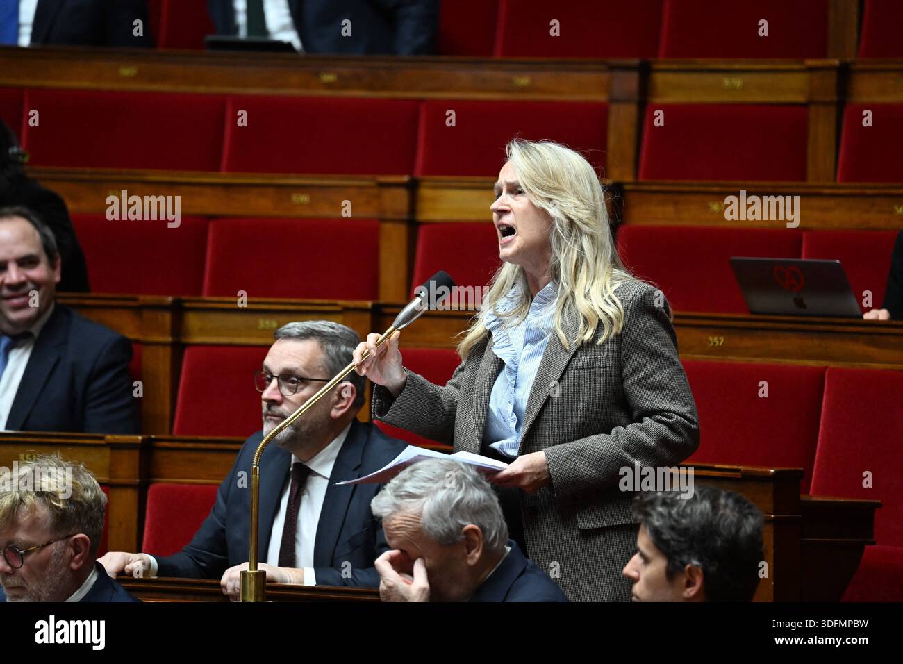 Constance Le Grip, deputy, during a session of questions to the ...