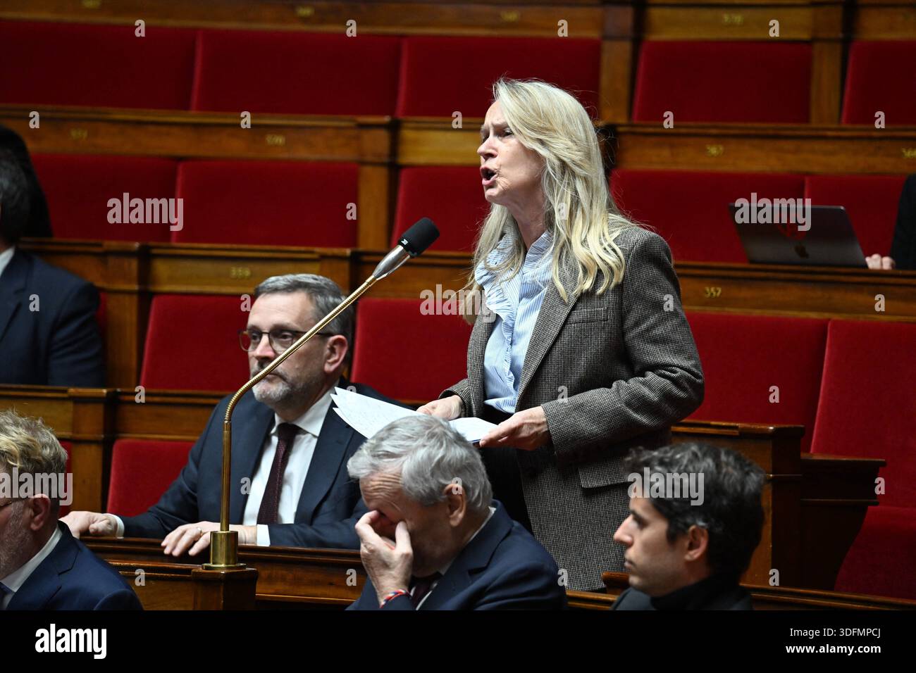 Constance Le Grip, deputy, during a session of questions to the ...