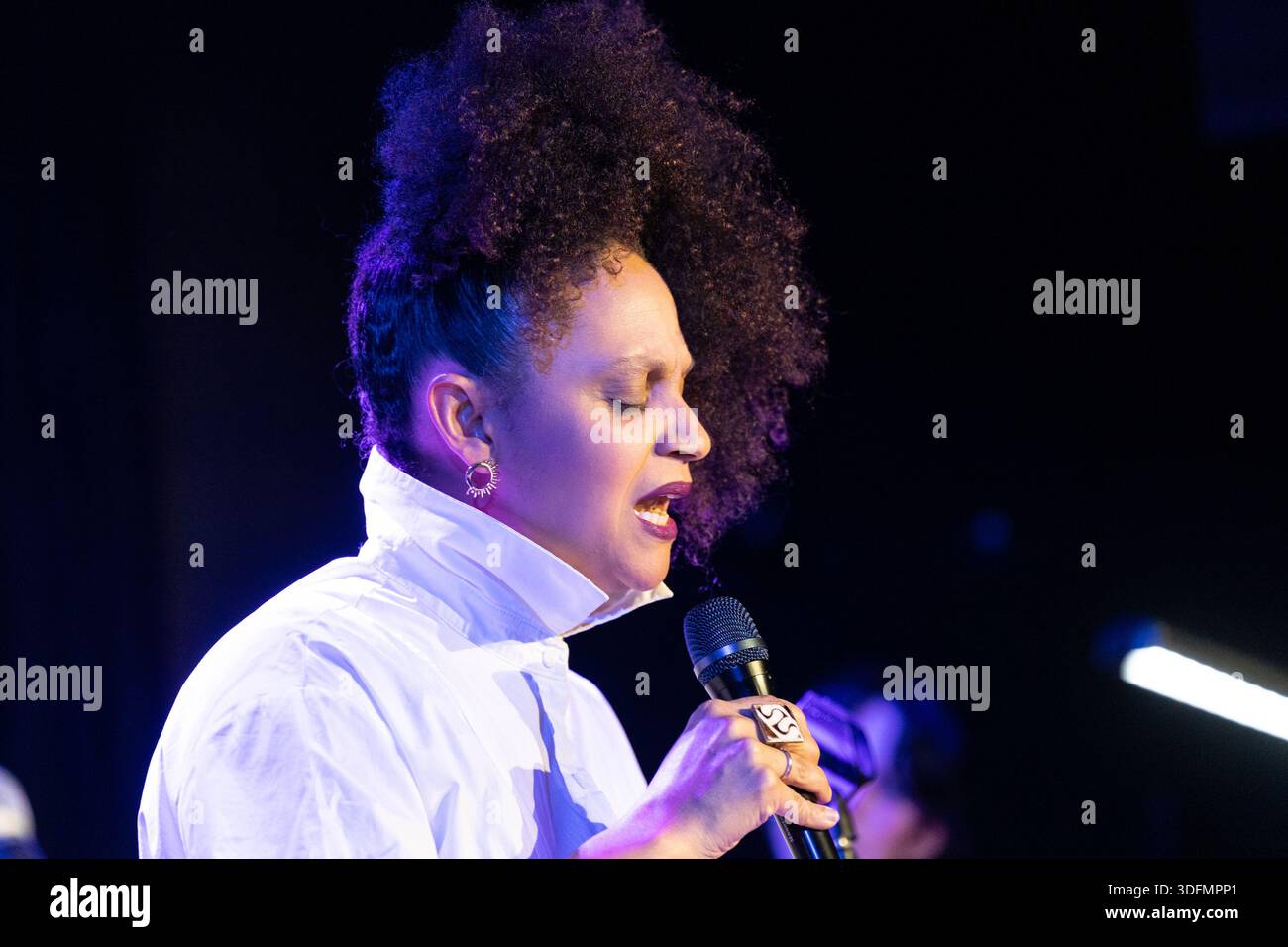 Sarah Elizabeth Charles performs with band of musicians 'Freedom Riders ...