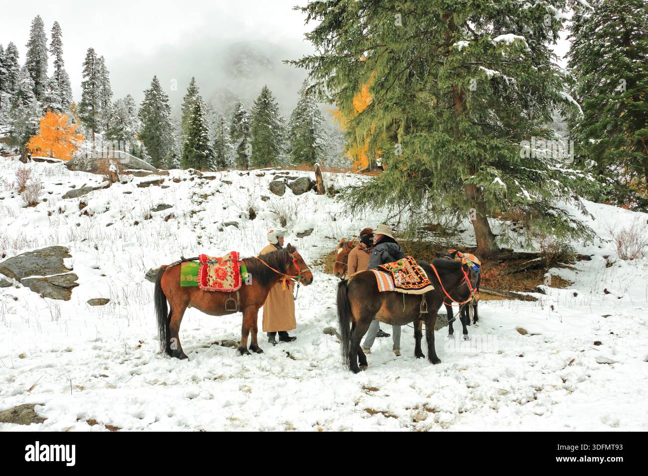Tiben people and their horses hi-res stock photography and images - Alamy