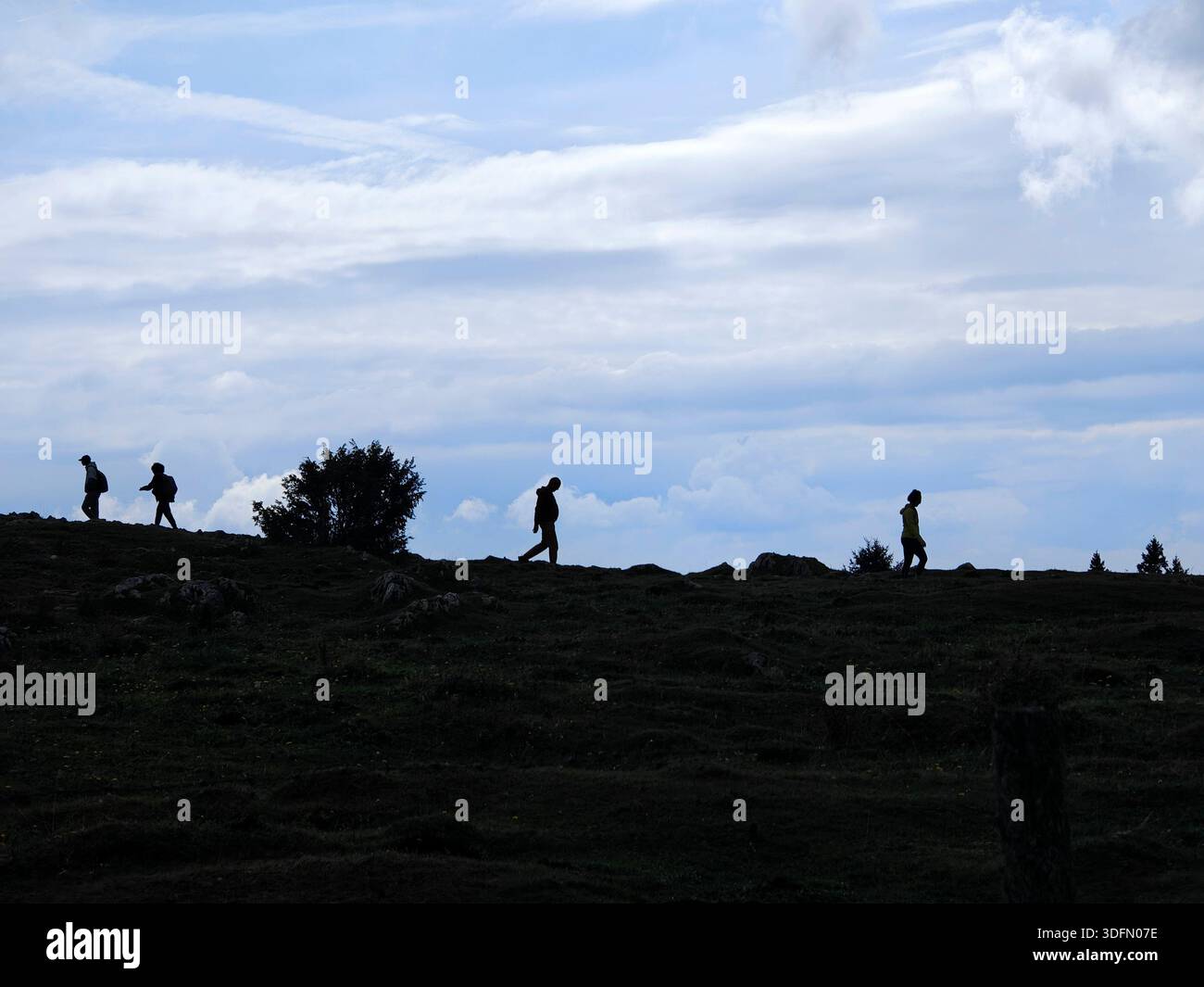 a network or a gathering of people in a group network or gathering of ...