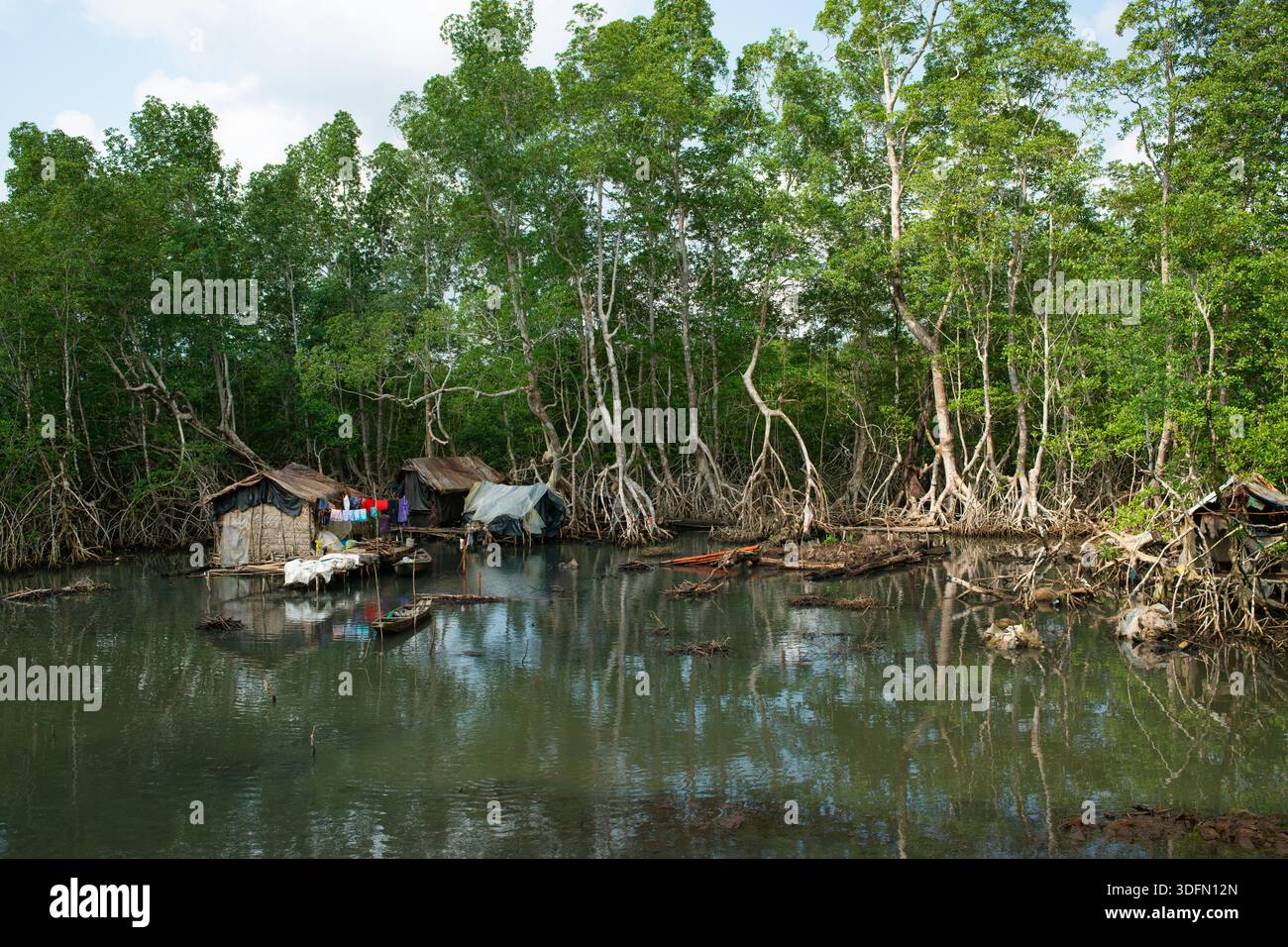 Informal riverside dwellings in a mangrove forest showing human ...