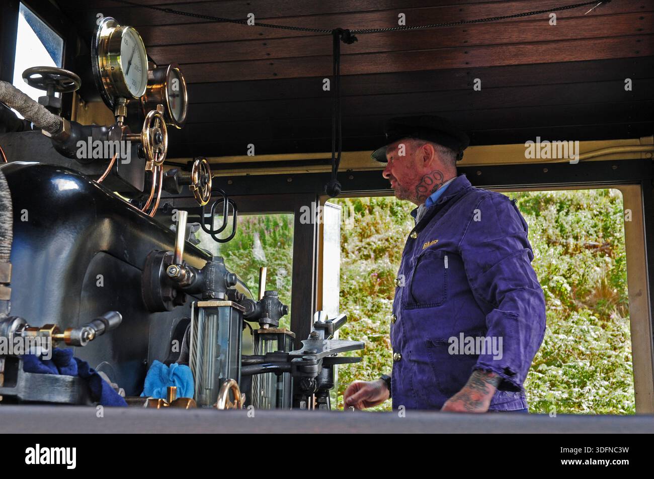 Driver in the cab of a steam locomotive on the Brecon Mountain Railway ...