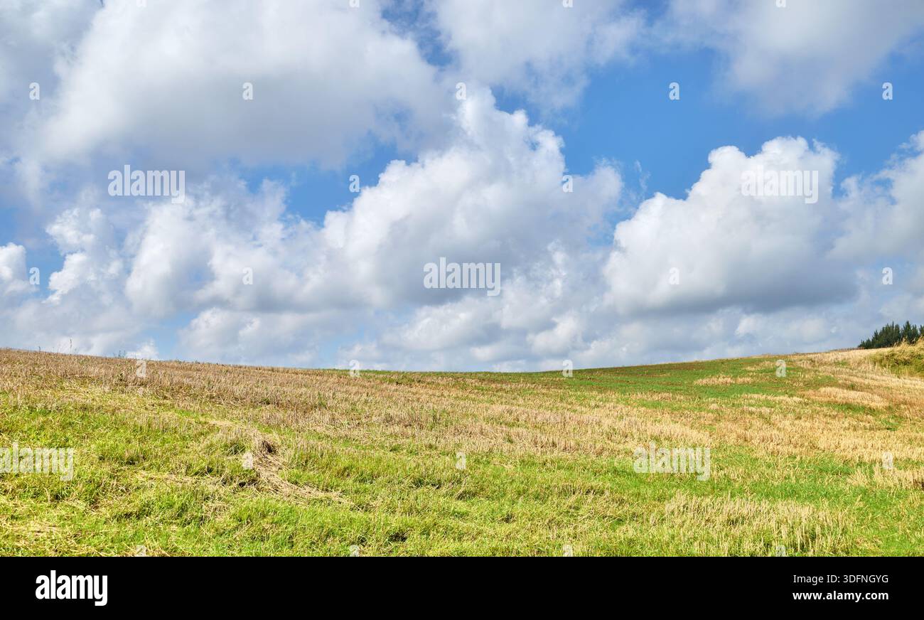 Hill farm grass landscape sunny hi-res stock photography and images - Alamy