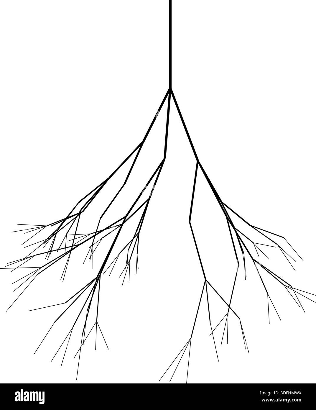Graphic vector of tree roots with fine etched lines creating a detailed ...