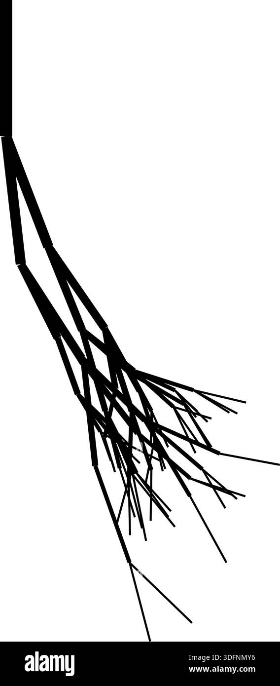 Black and white vector outline of a tree root structure with smooth ...