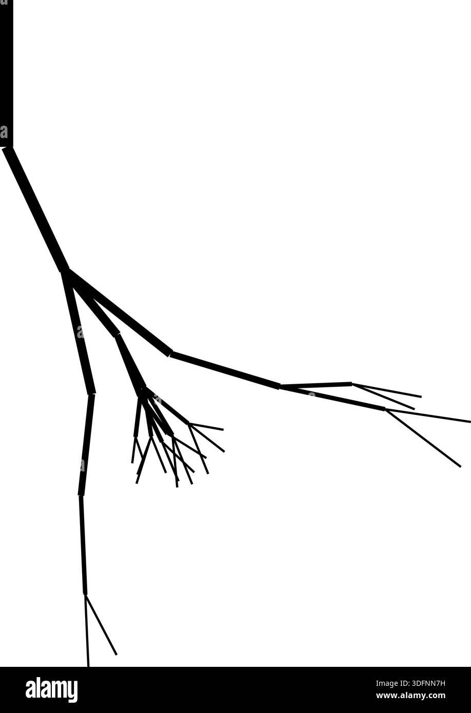 Thin-lined tree roots forming a delicate branching pattern in a vector ...