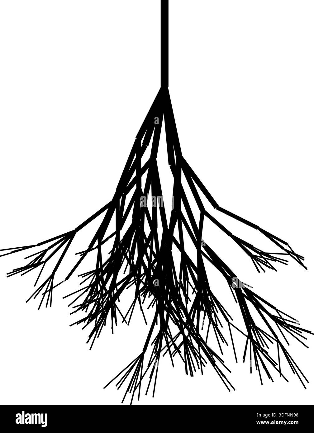 Minimal vector drawing of a tree root system with clean, flowing lines ...