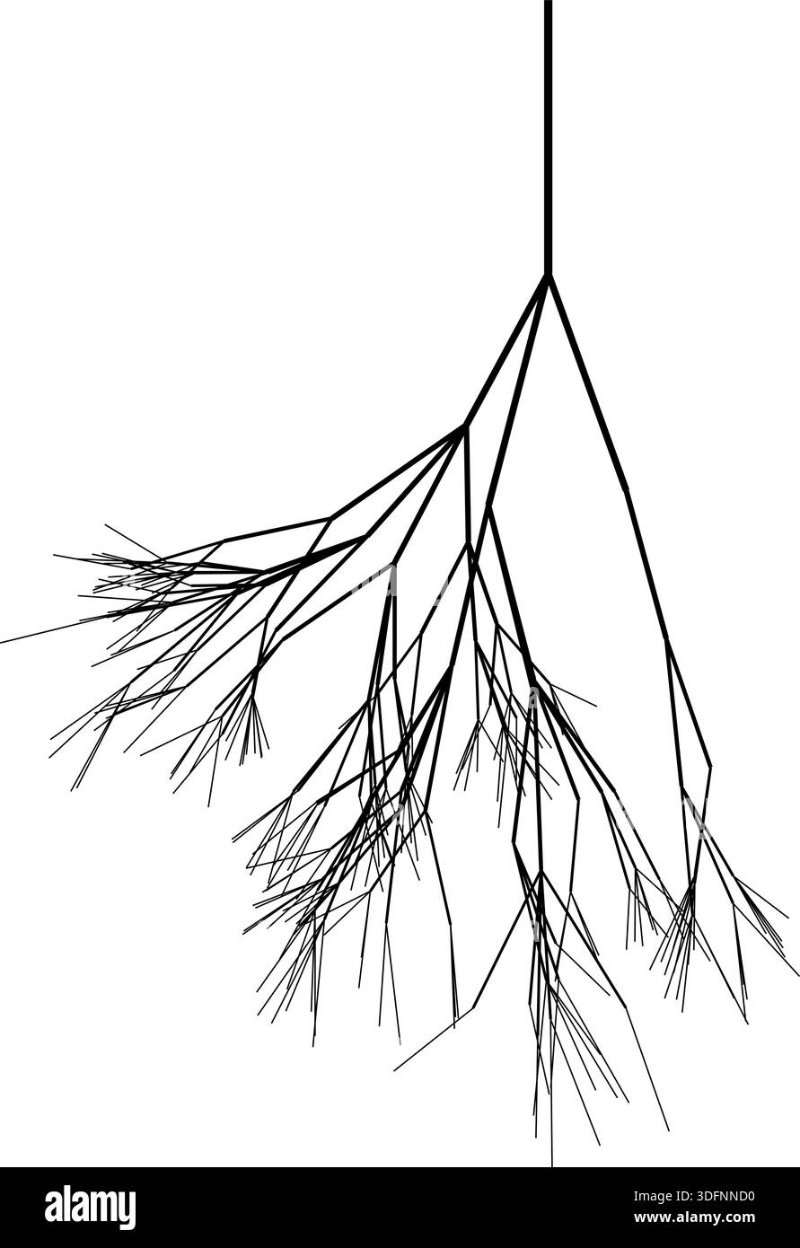 Graphic vector of a tree root system with twisting and intertwining ...