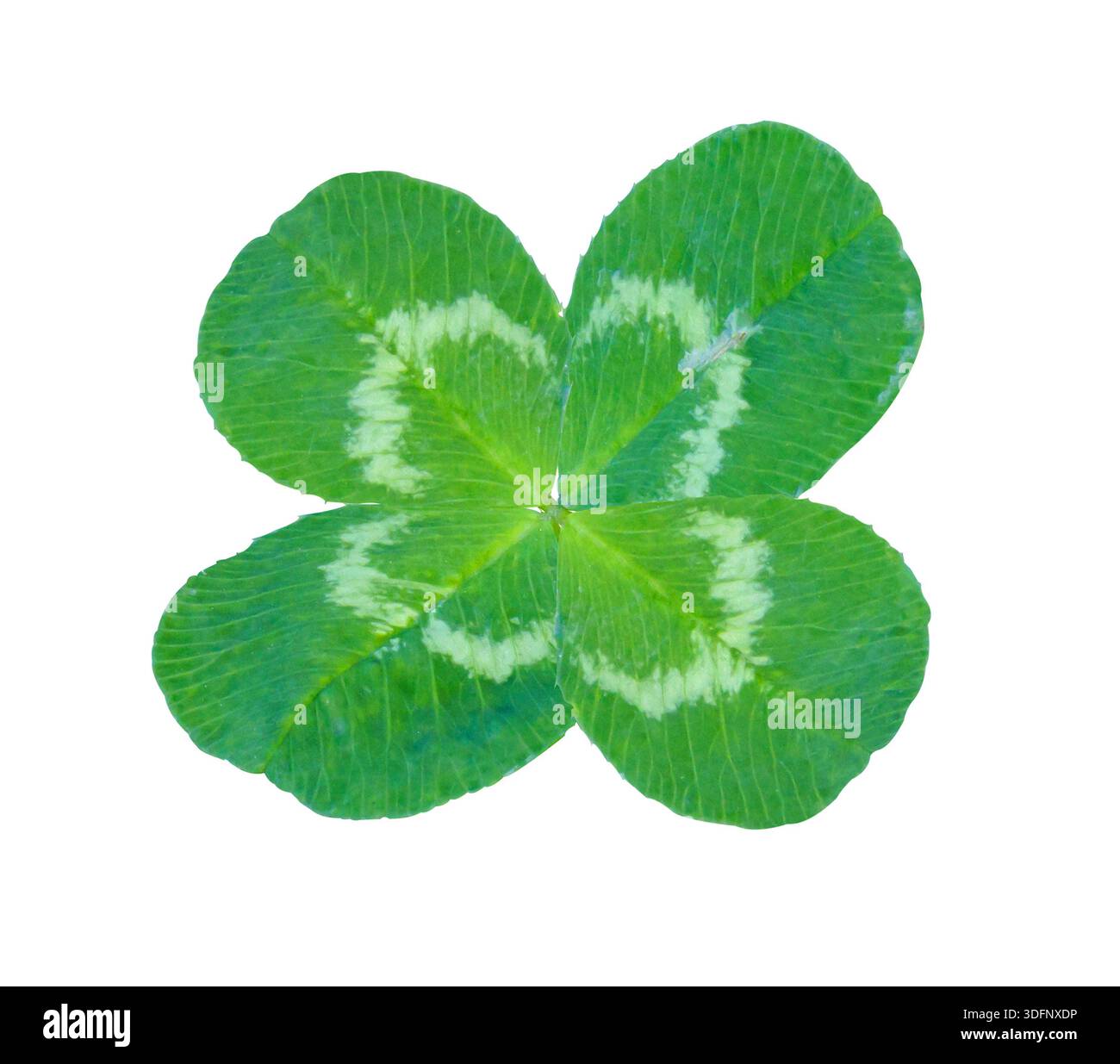 Clover shape hi-res stock photography and images - Alamy