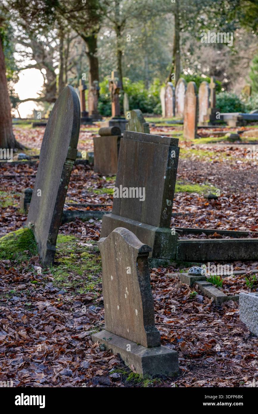 Old historic gravestones and headstones in a cemetery or graveyard in ...