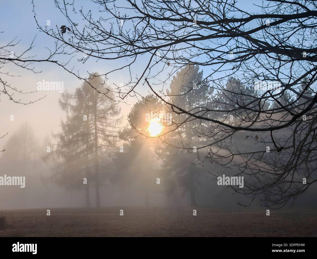 autumn fog in a natural landscape, weather conditions during daytime ...