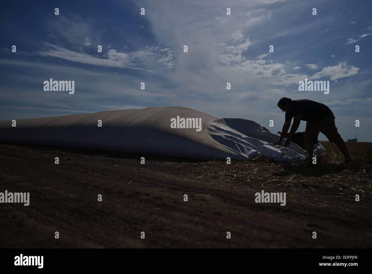A farmer closes a silo bag in Lobos, Argentina, Tuesday, Jan. 13, 2026 ...