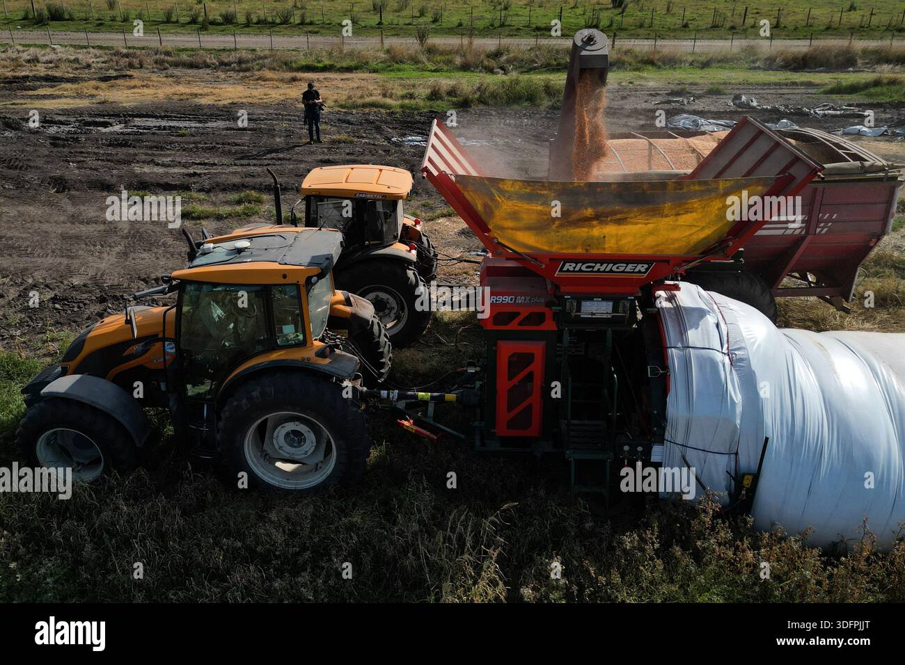 Agricultural producer Raul Berrueta transfers corn to a silo bag in ...