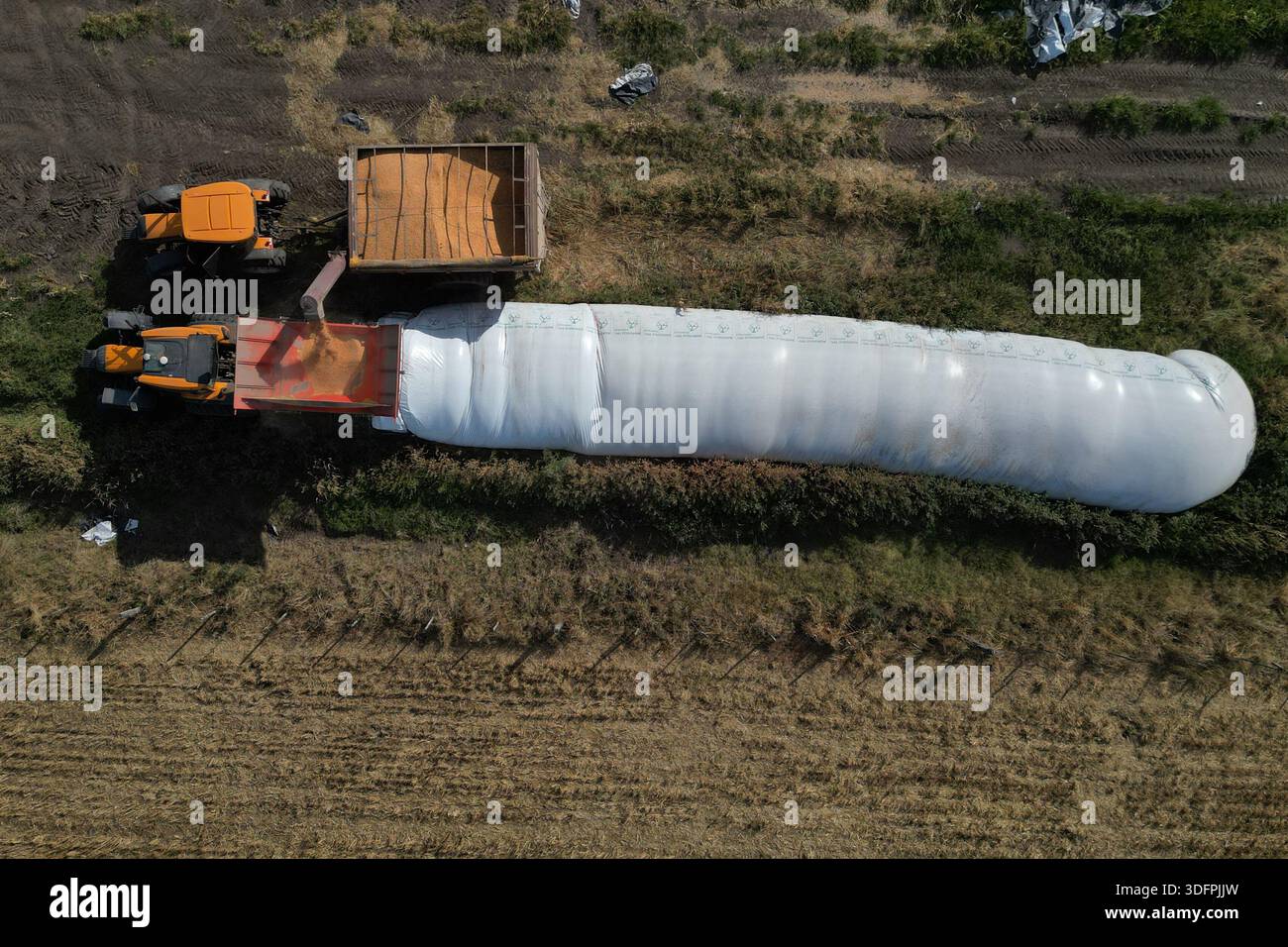 Agricultural producer Raul Berrueta transfers corn to a silo bag in ...