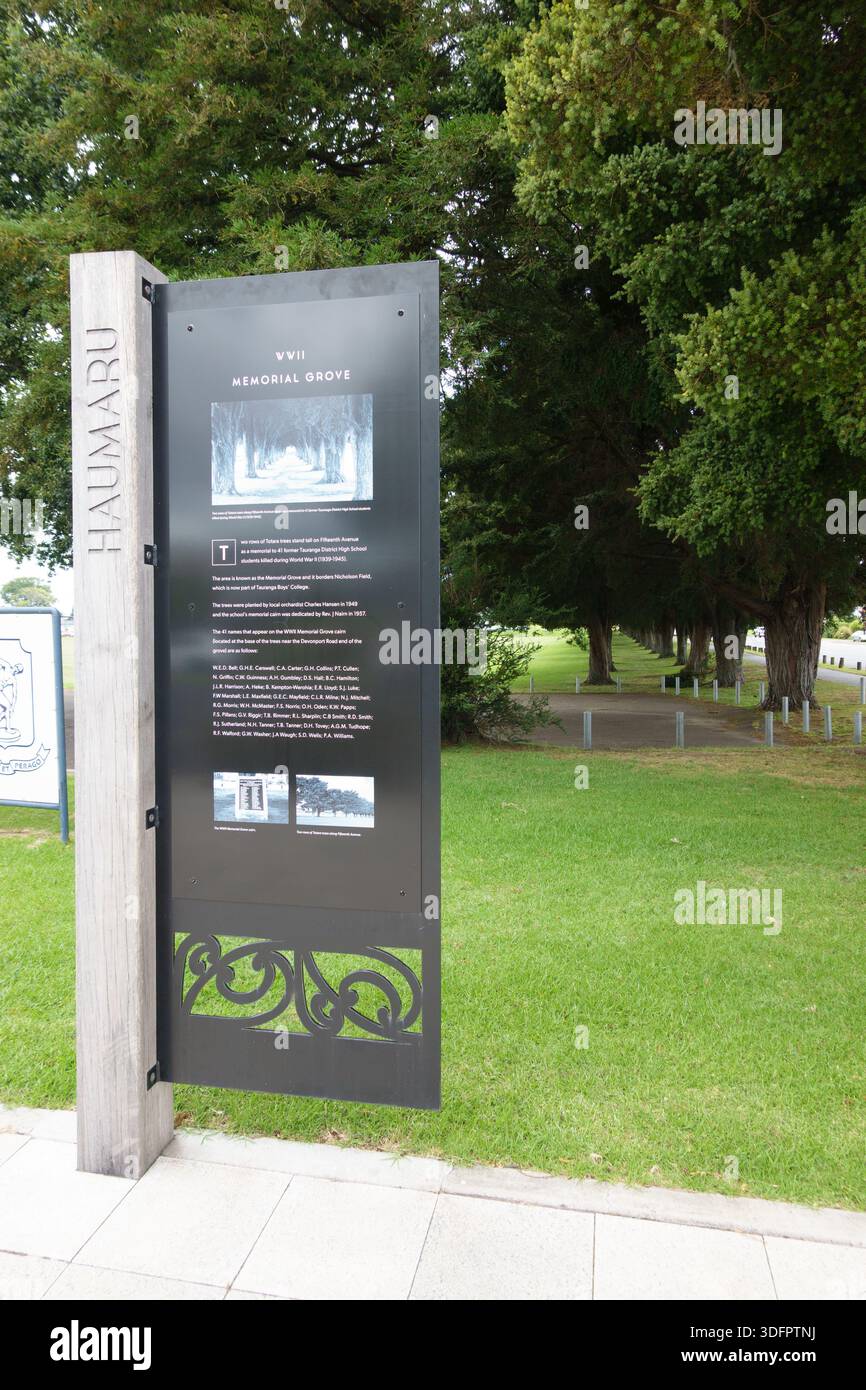 Ww11 memorial grove hi-res stock photography and images - Alamy