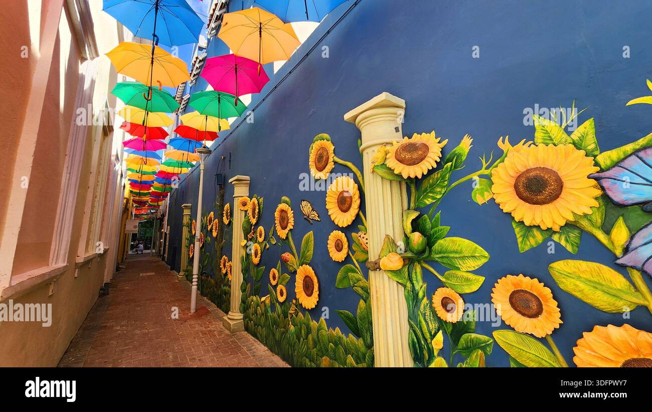 Smallesteeg Umbrella Street Alley Willemstad Curacao Netherland ...