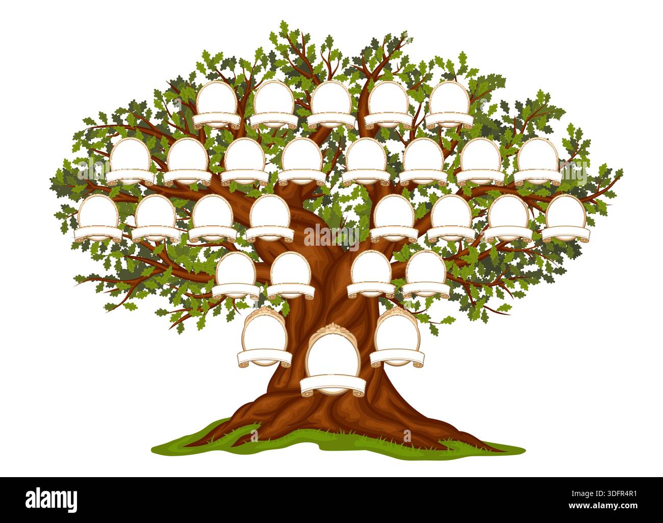 Ancestry history genealogy family tree branches. Vector circular frames ...