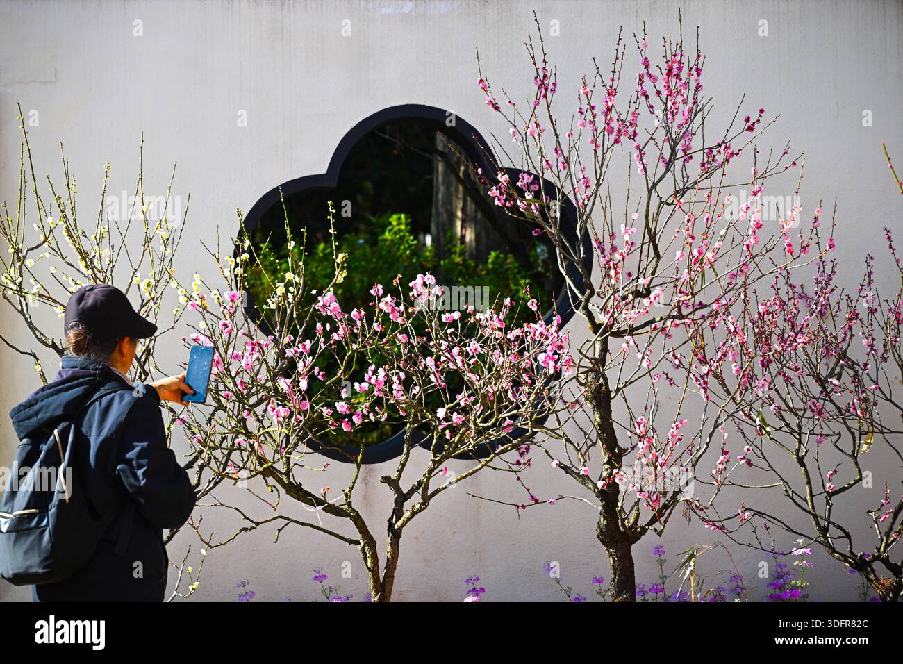 **CHINESE MAINLAND, HONG KONG, MACAU AND TAIWAN OUT**Visitors stroll ...