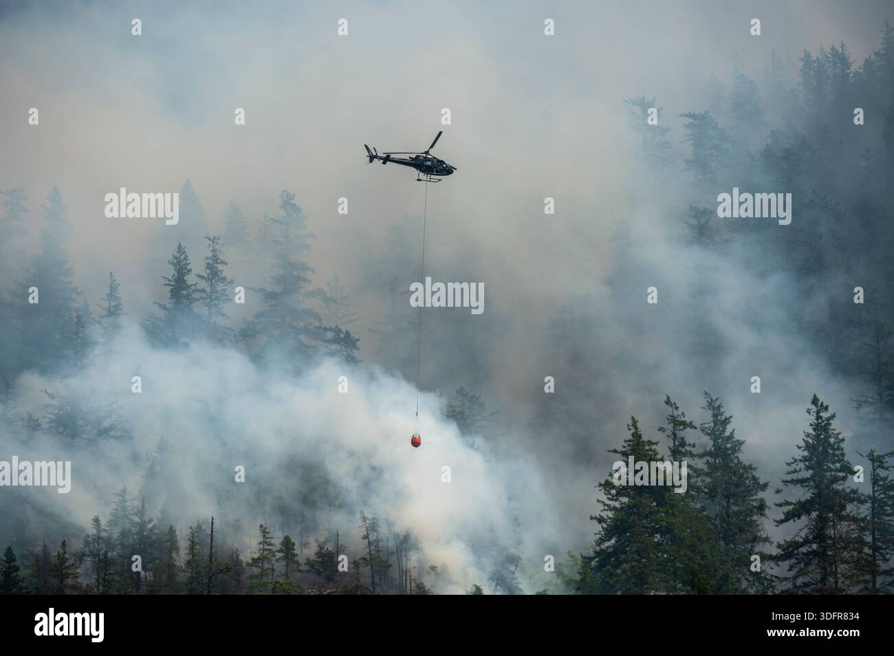 An aerial crew works on the Dryden Creek fire, an a out-of-control ...