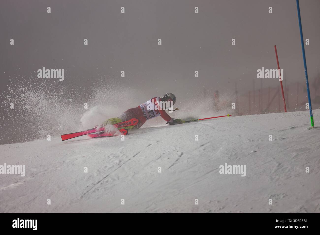 FLACHAU, AUSTRIA, 13.JAN.26 - ALPINE SKIING - FIS World Cup, night ...