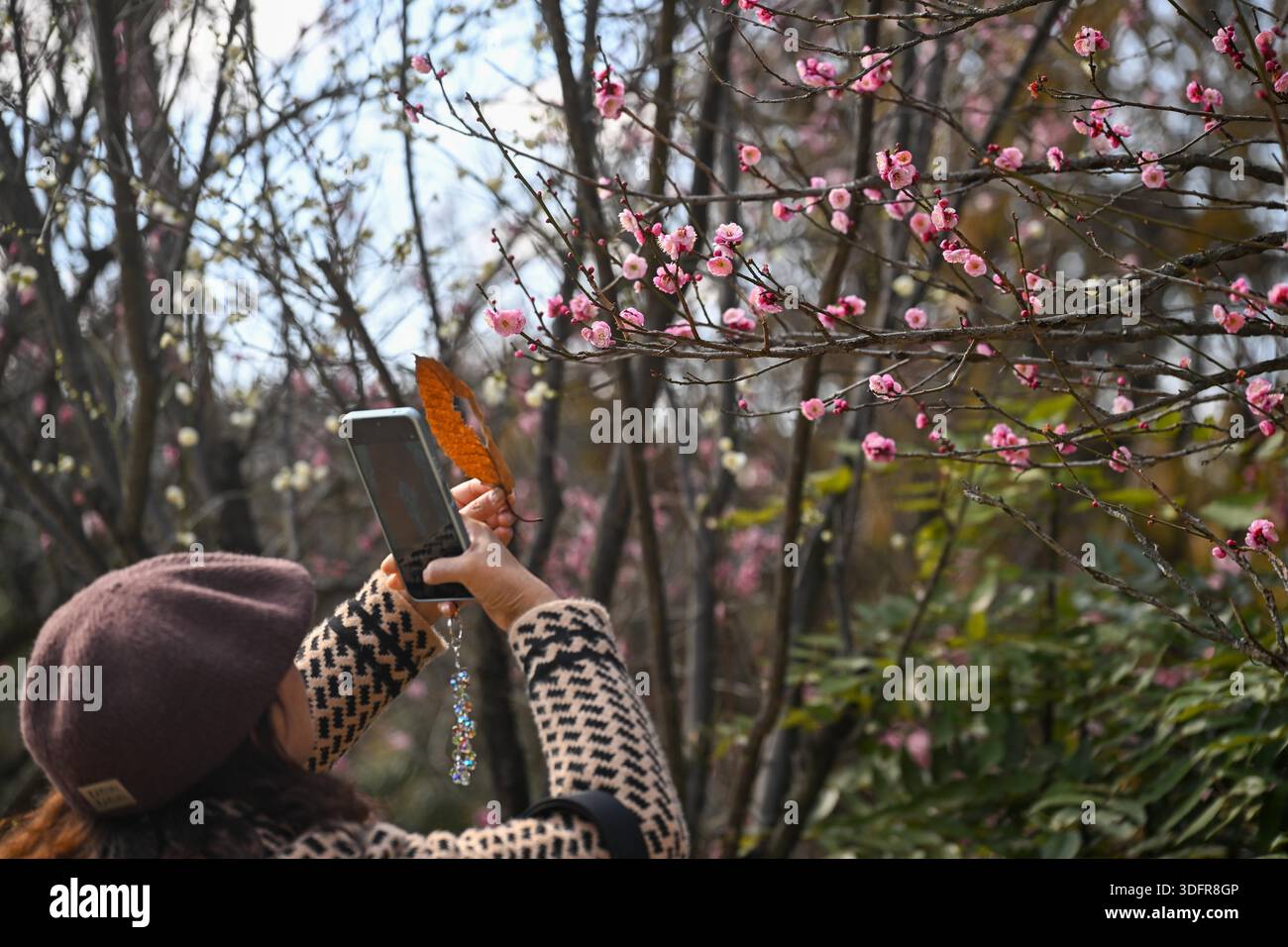 **CHINESE MAINLAND, HONG KONG, MACAU AND TAIWAN OUT**Visitors stroll ...