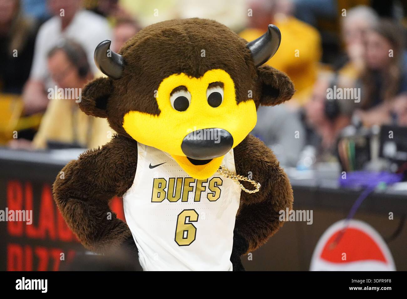 Colorado mascot Chip in the first half of an NCAA college basketball ...