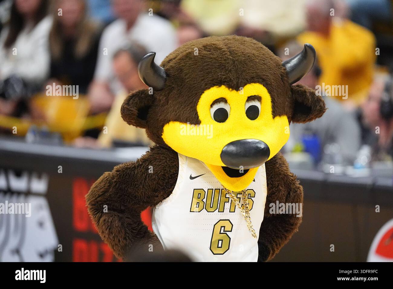 Colorado mascot Chip in the first half of an NCAA college basketball ...