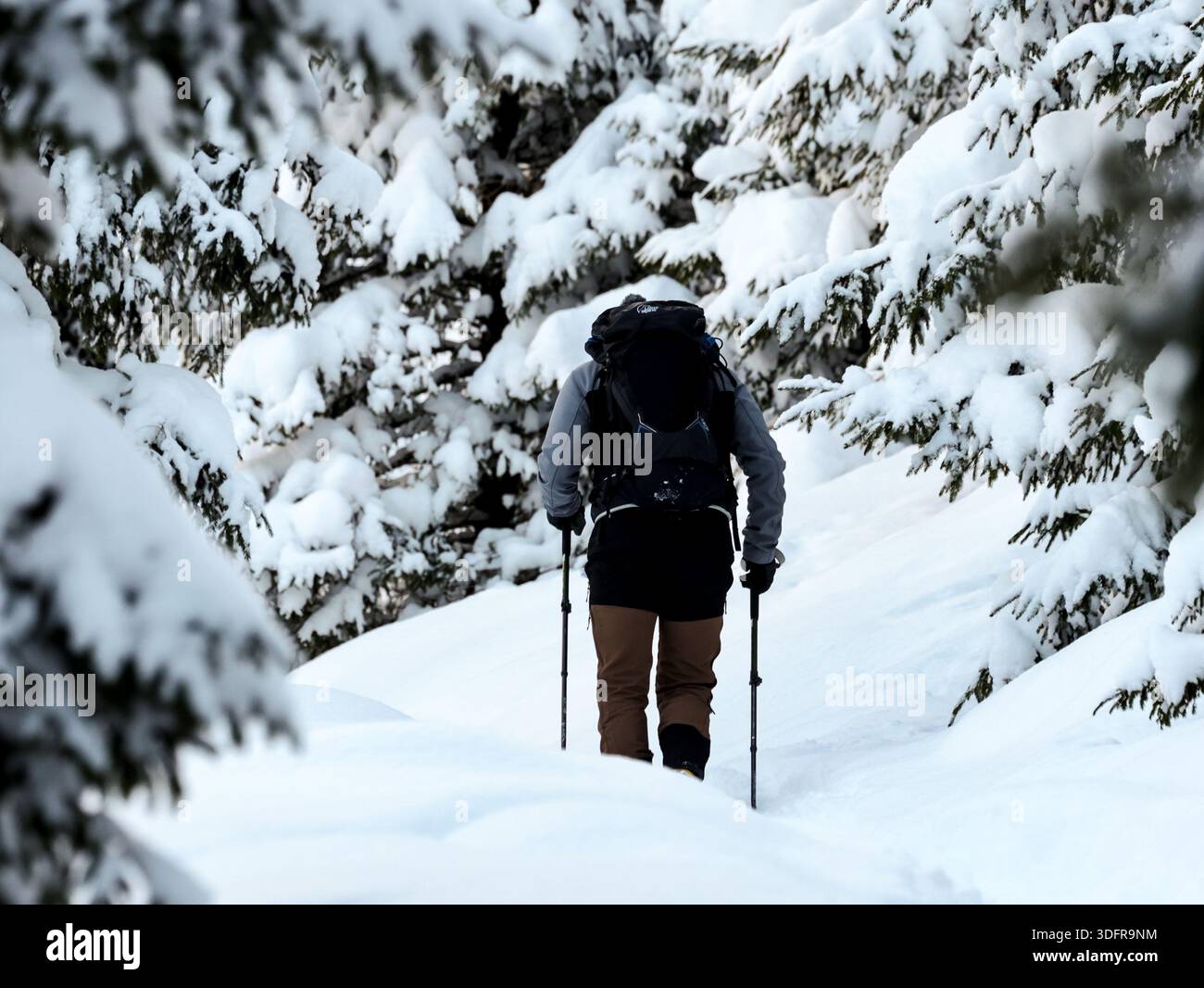 A man walks on a path in Tatra National Park in Poland as the ...