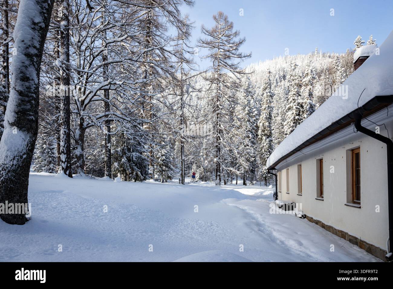 Poland. 12th Jan, 2026. A view of Tatra National Park in Poland as the ...