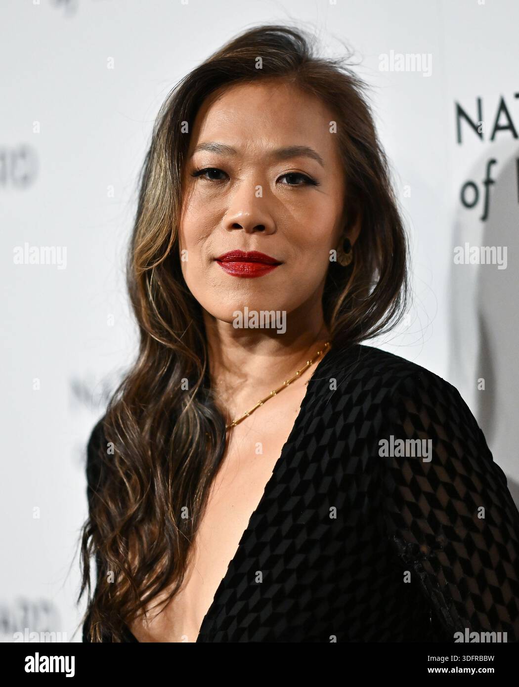 Shih-Ching Tsou attends the National Board of Review Awards gala at ...
