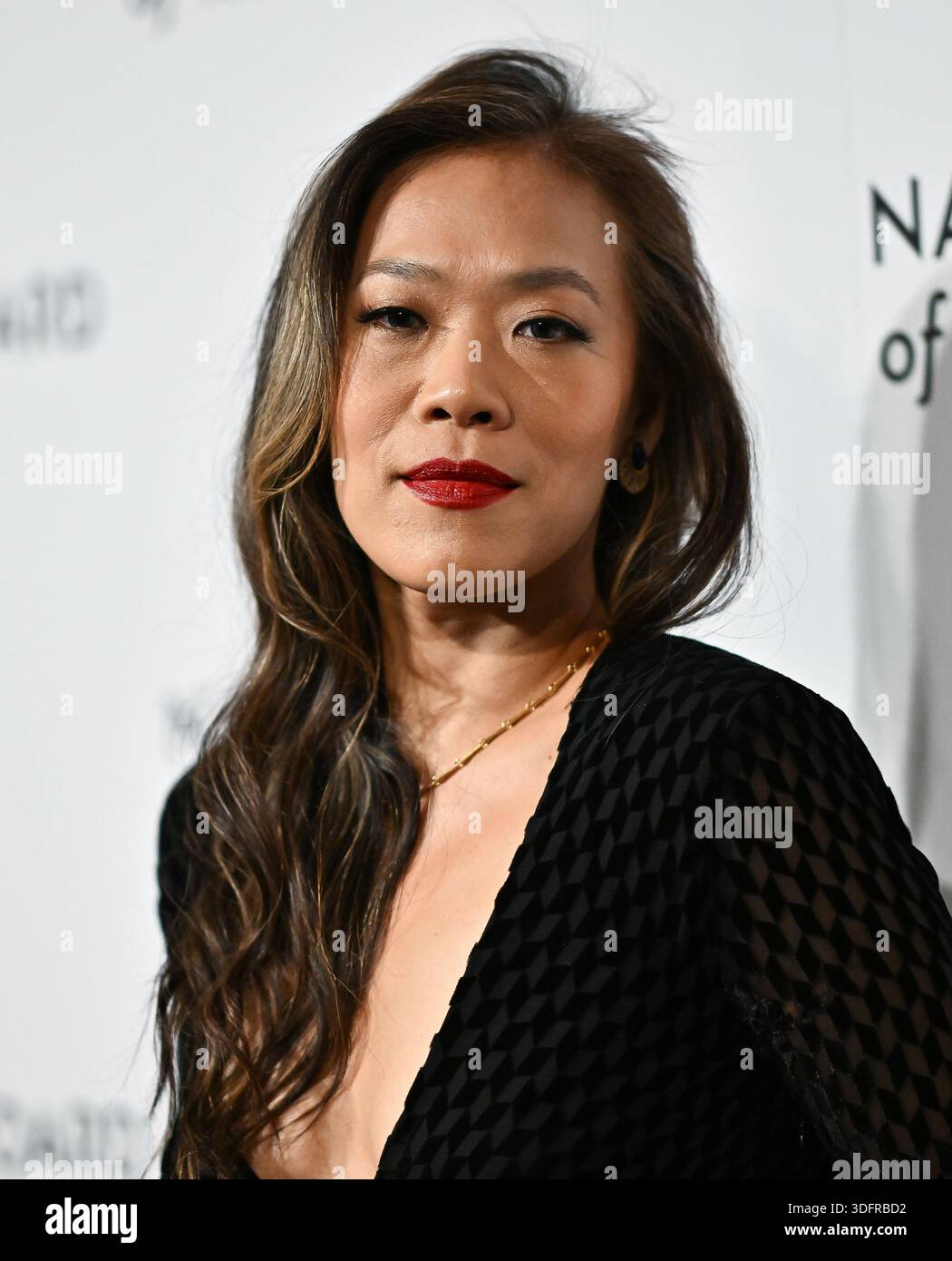 Shih-Ching Tsou attends the National Board of Review Awards gala at ...