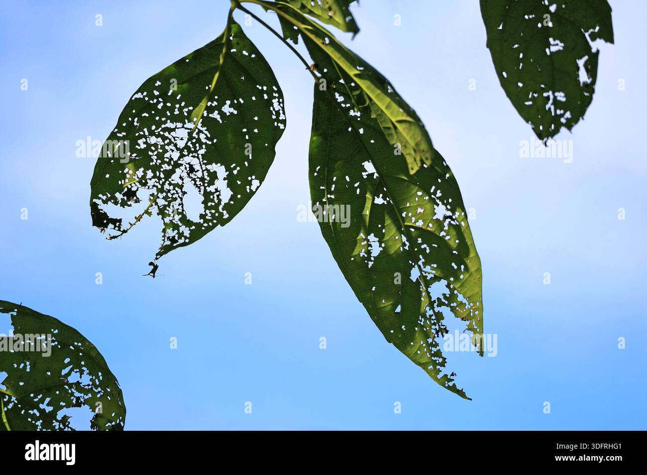 Cycle poetry hi-res stock photography and images - Alamy