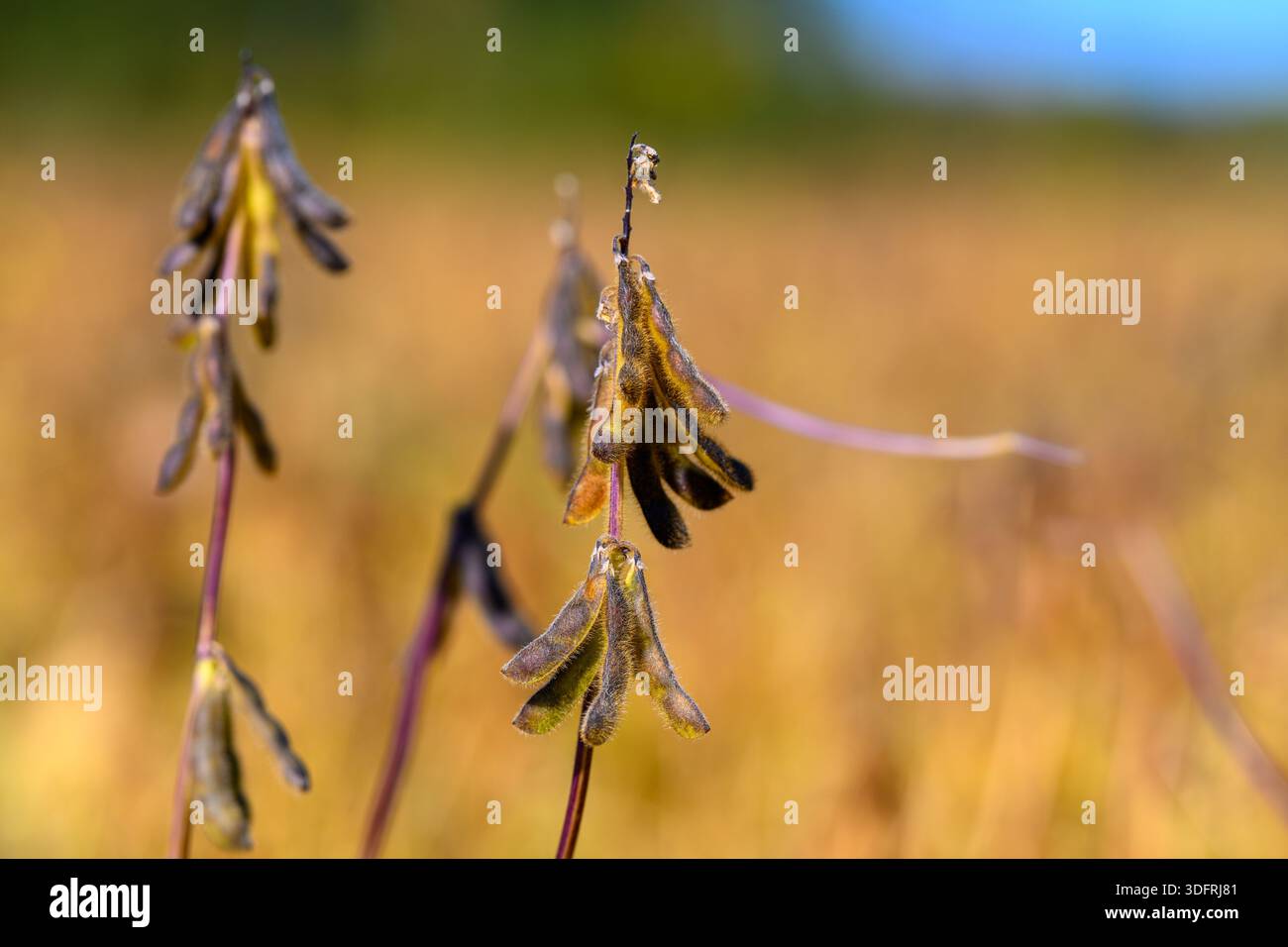 Drainage soilscience hi-res stock photography and images - Alamy