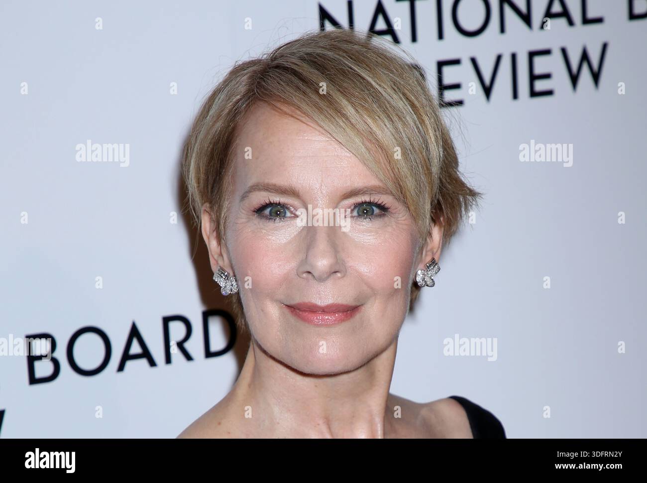 Amy Ryan attending the 2026 National Board of Review Awards Gala held ...