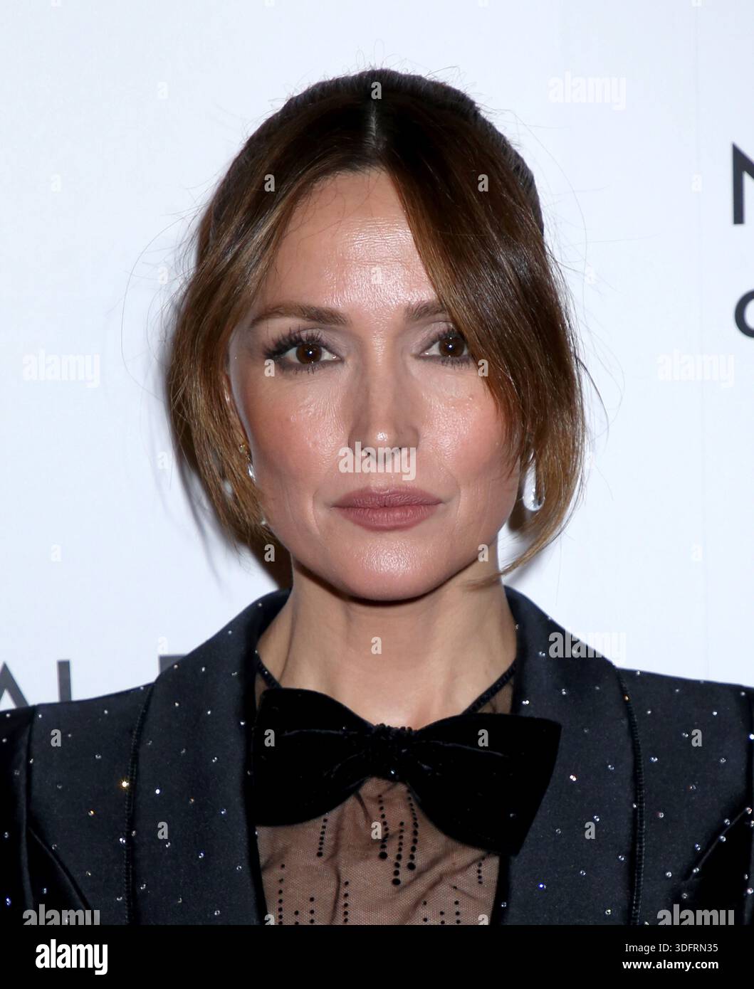 Rose Byrne attending the 2026 National Board of Review Awards Gala held ...