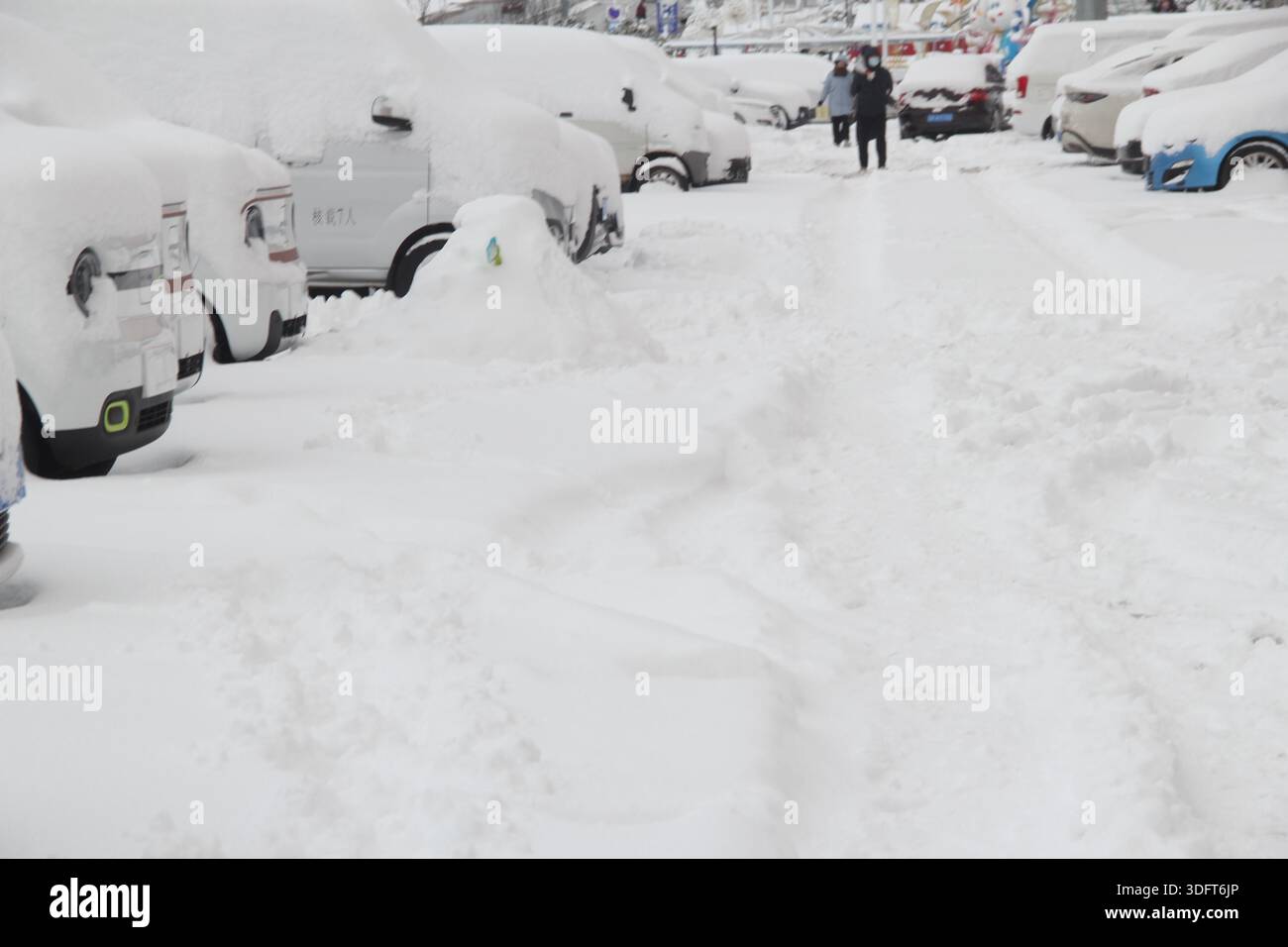 Vehicles are covered with snow after a snowstorm in Weihai City, east ...