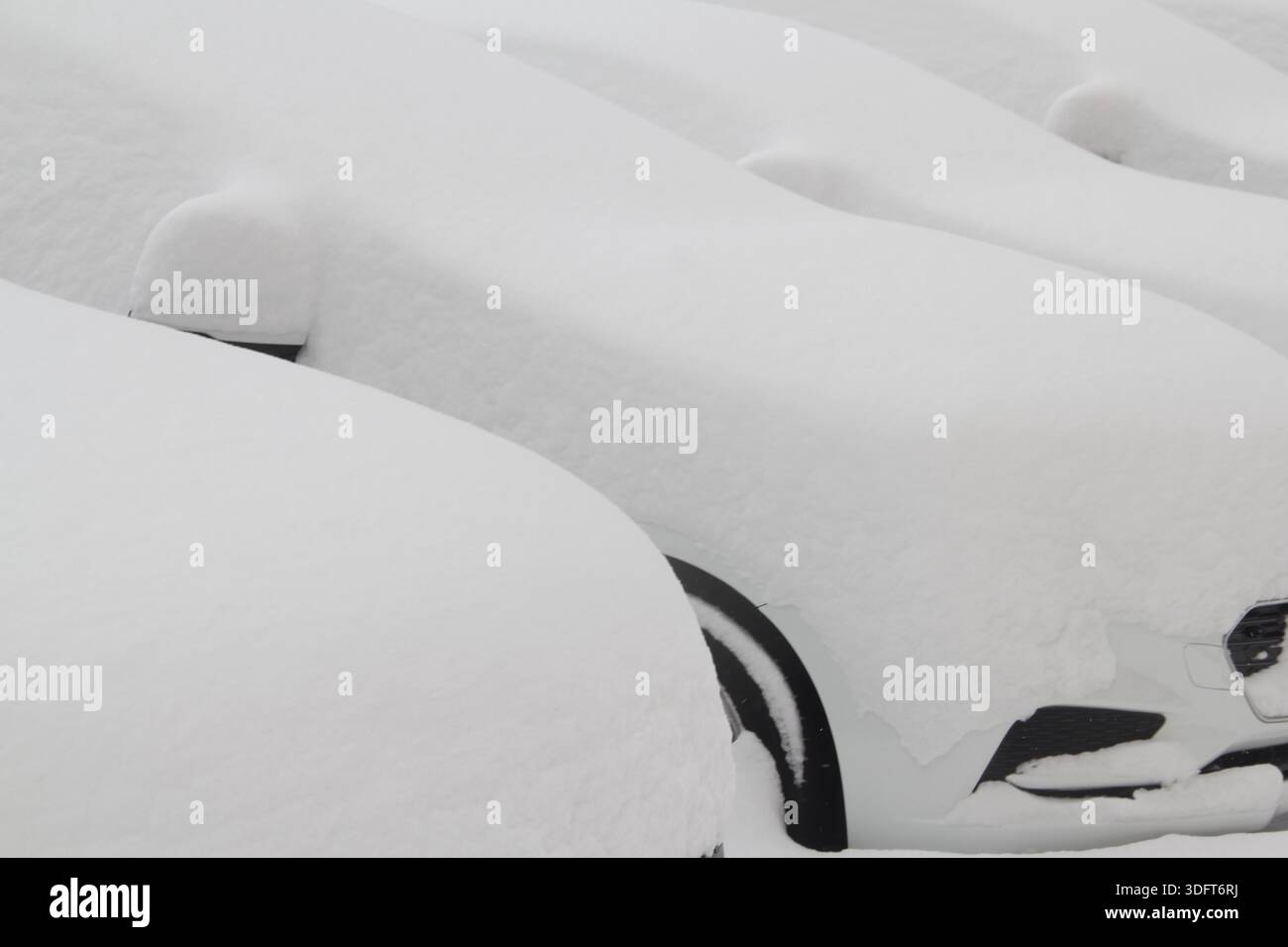 Vehicles are covered with snow after a snowstorm in Weihai City, east ...